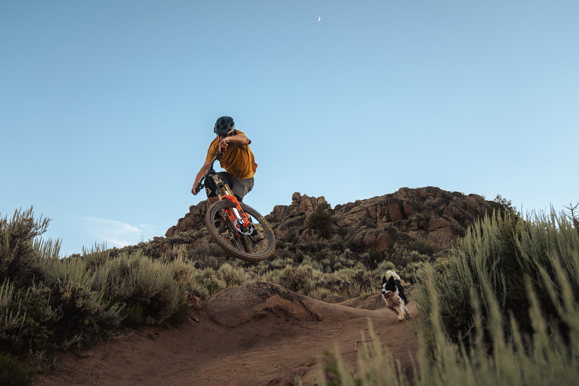 Devinci Bikes - Proudly Making Bikes and e-Bikes in Canada | Cycles Devinci